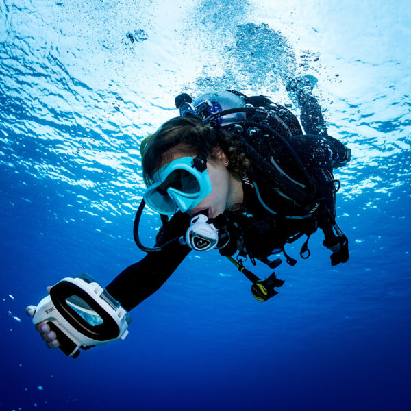 Oceanic+ Iphone Waterproof Underwater Case - Dive Housing – Infinity Dive